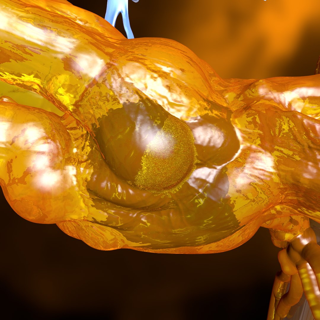 Blood Vessel Astrocyte Neuronal 3d Model