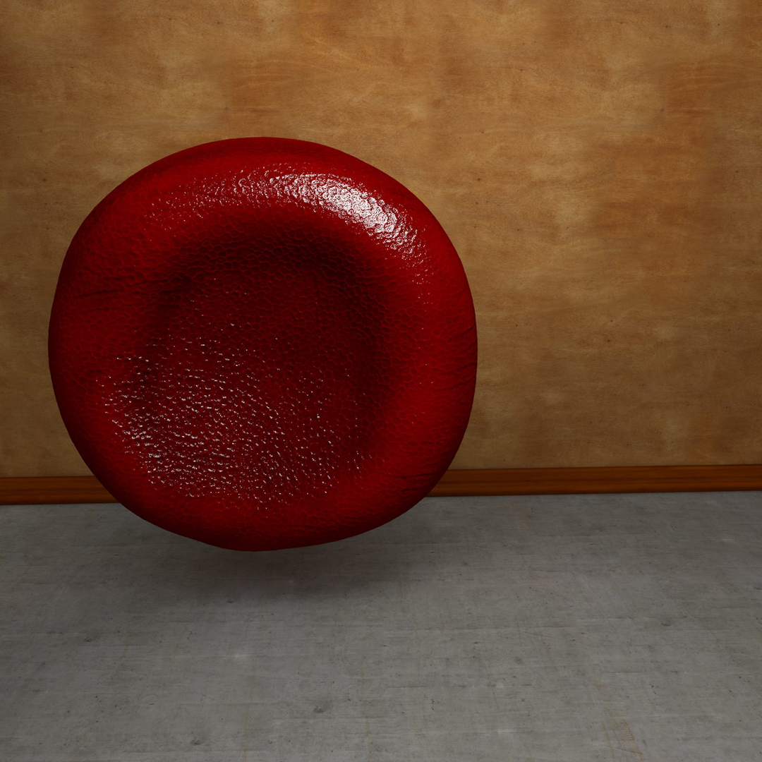Human Red Blood Cell 3d Model