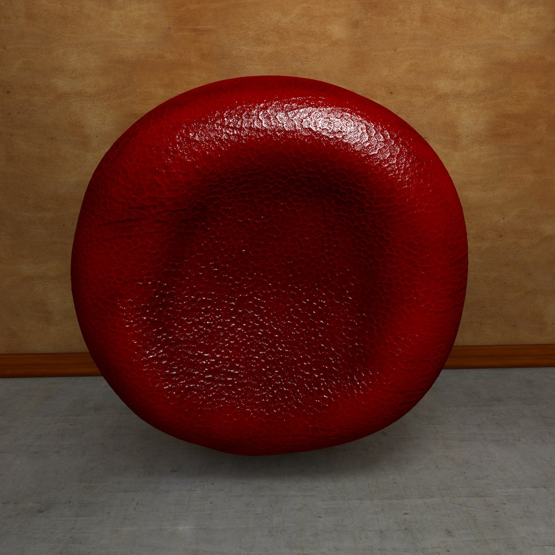 Human Red Blood Cell 3d Model