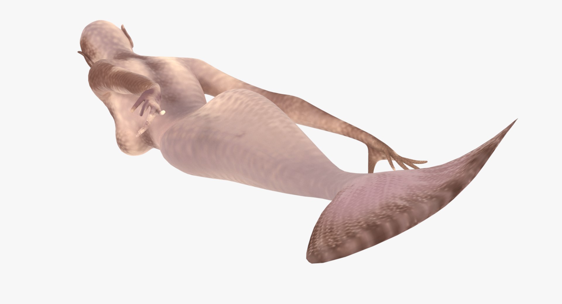 3D Model Mermaid Creature - TurboSquid 1285347