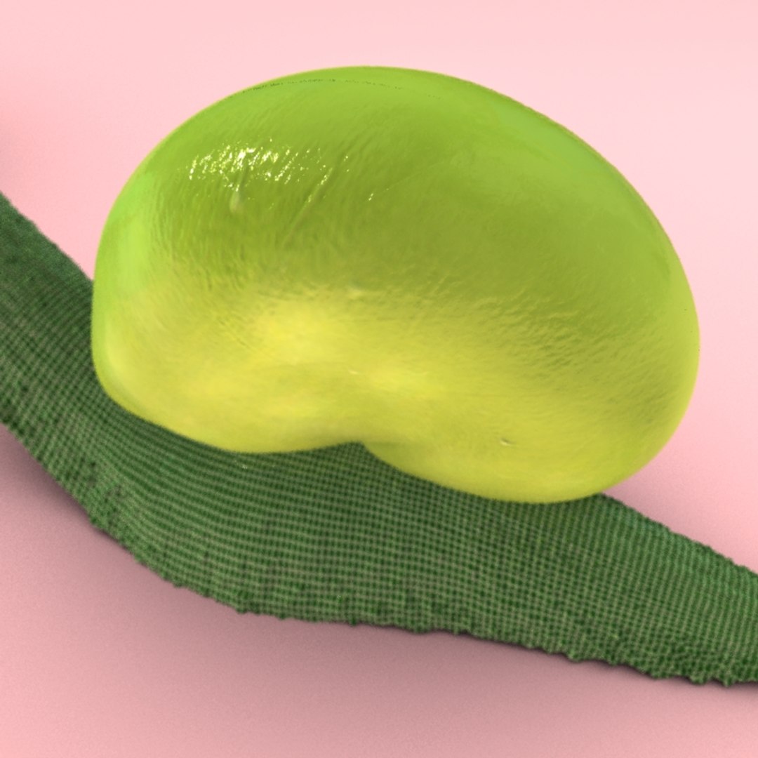 3d Snail Helix Pomatia