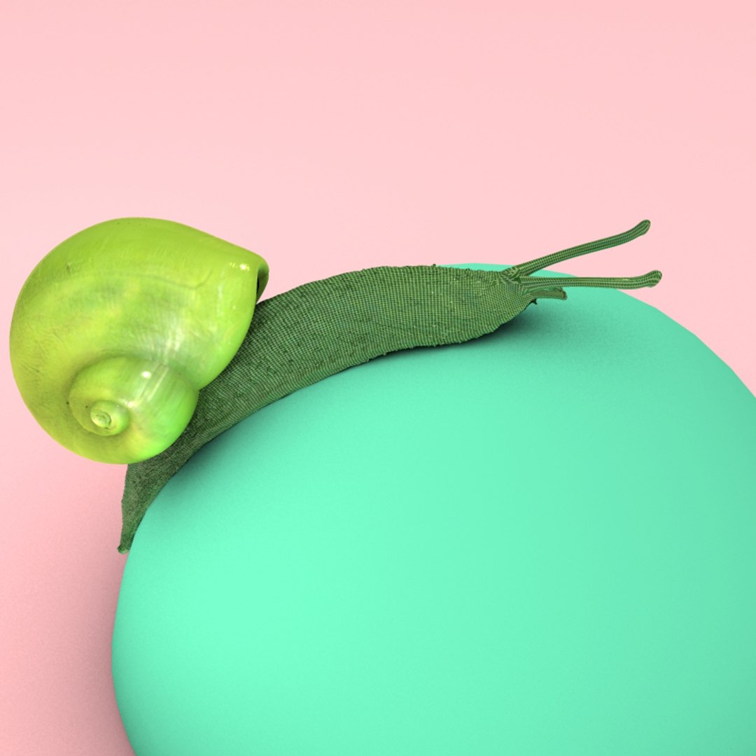 3d Snail Helix Pomatia