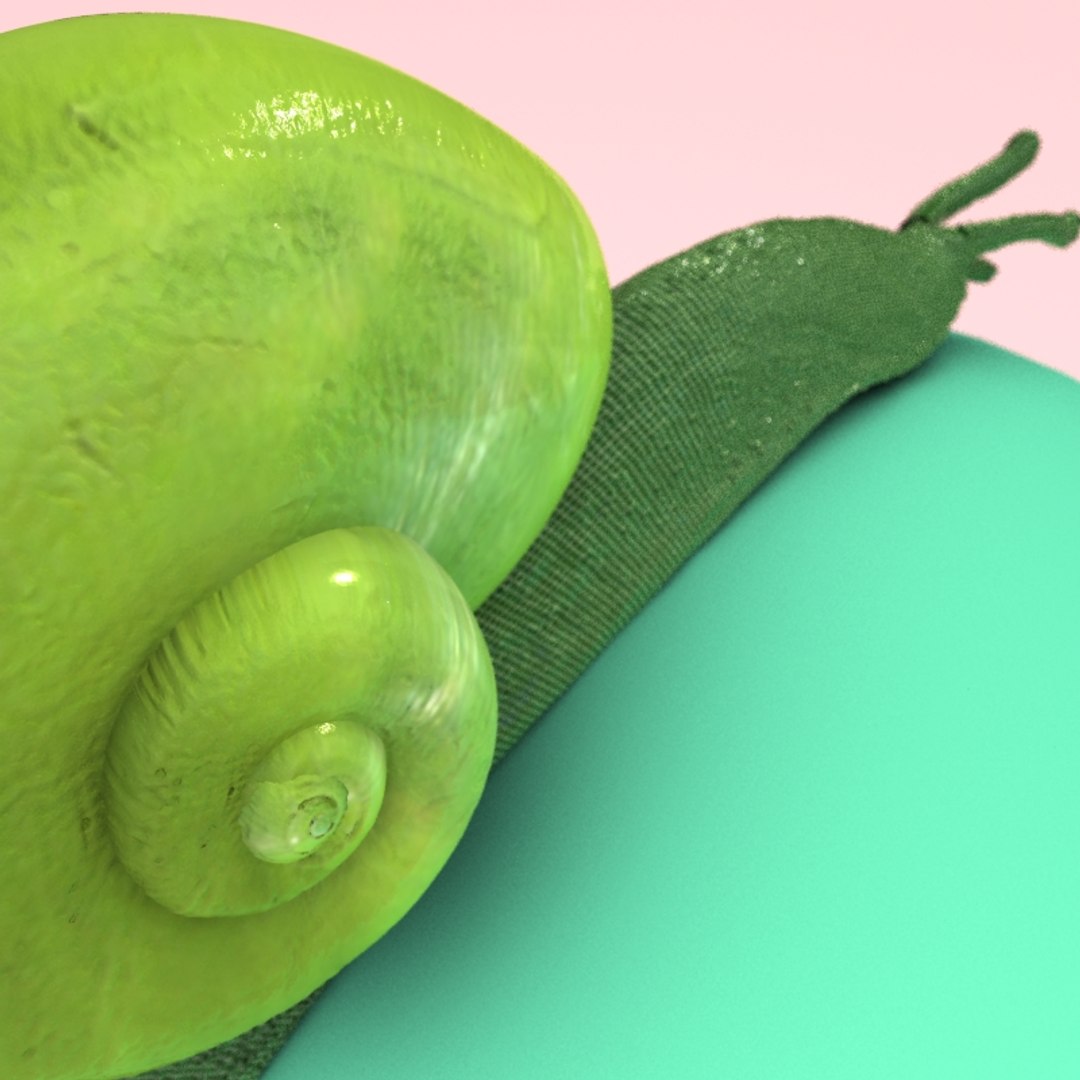 3d Snail Helix Pomatia