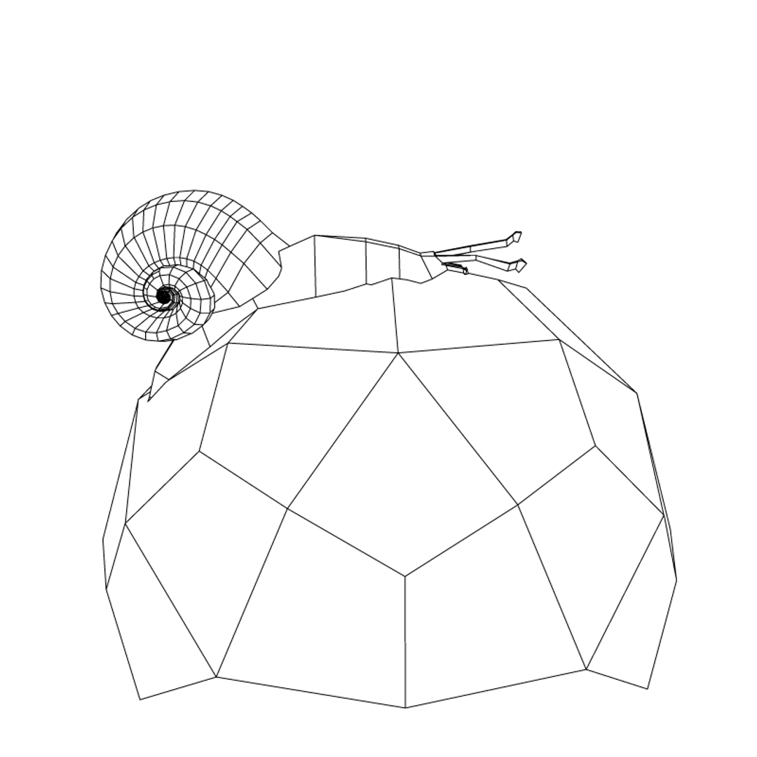 3d Snail Helix Pomatia