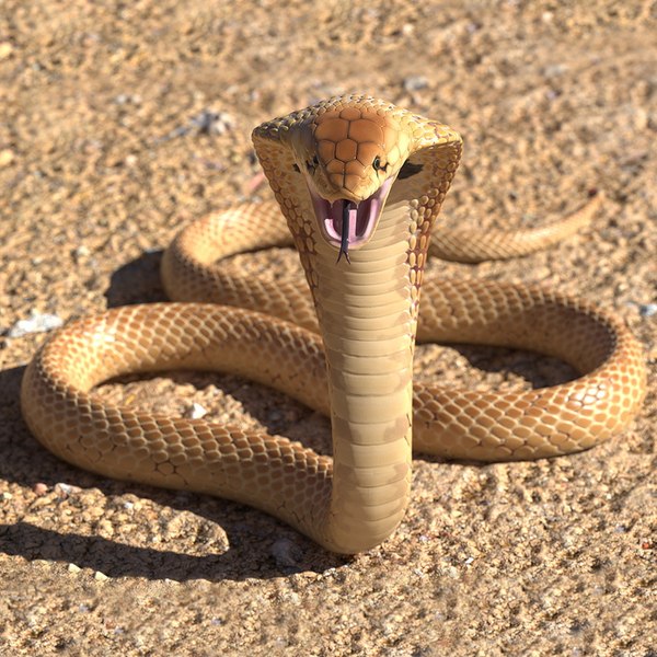 Cobra 3D Models for Download | TurboSquid