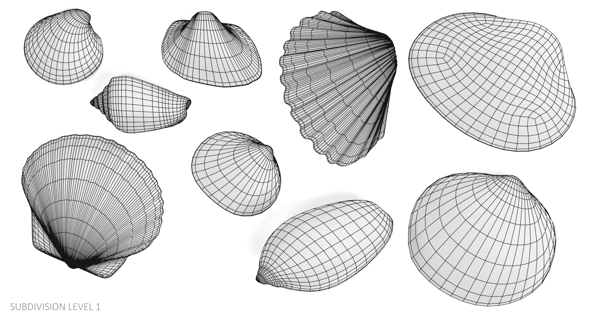 Photorealistic seashells 3D model - TurboSquid 1229531