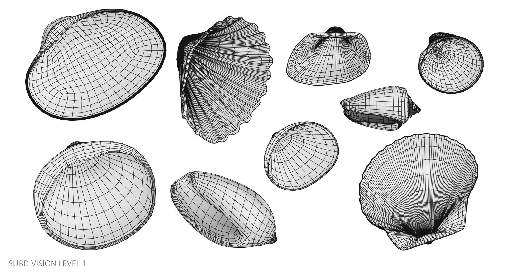 Photorealistic seashells 3D model - TurboSquid 1229531