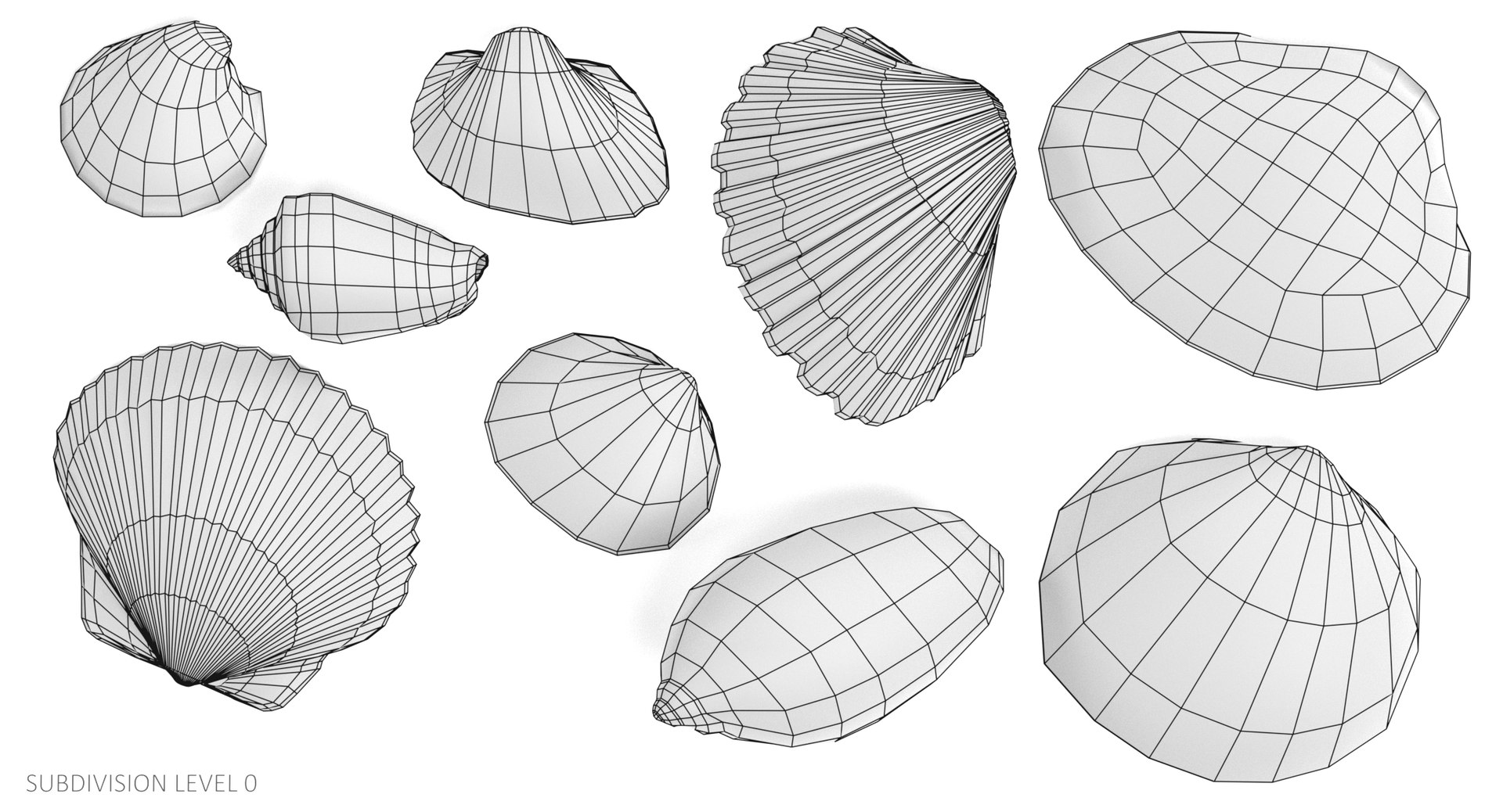 Photorealistic seashells 3D model - TurboSquid 1229531