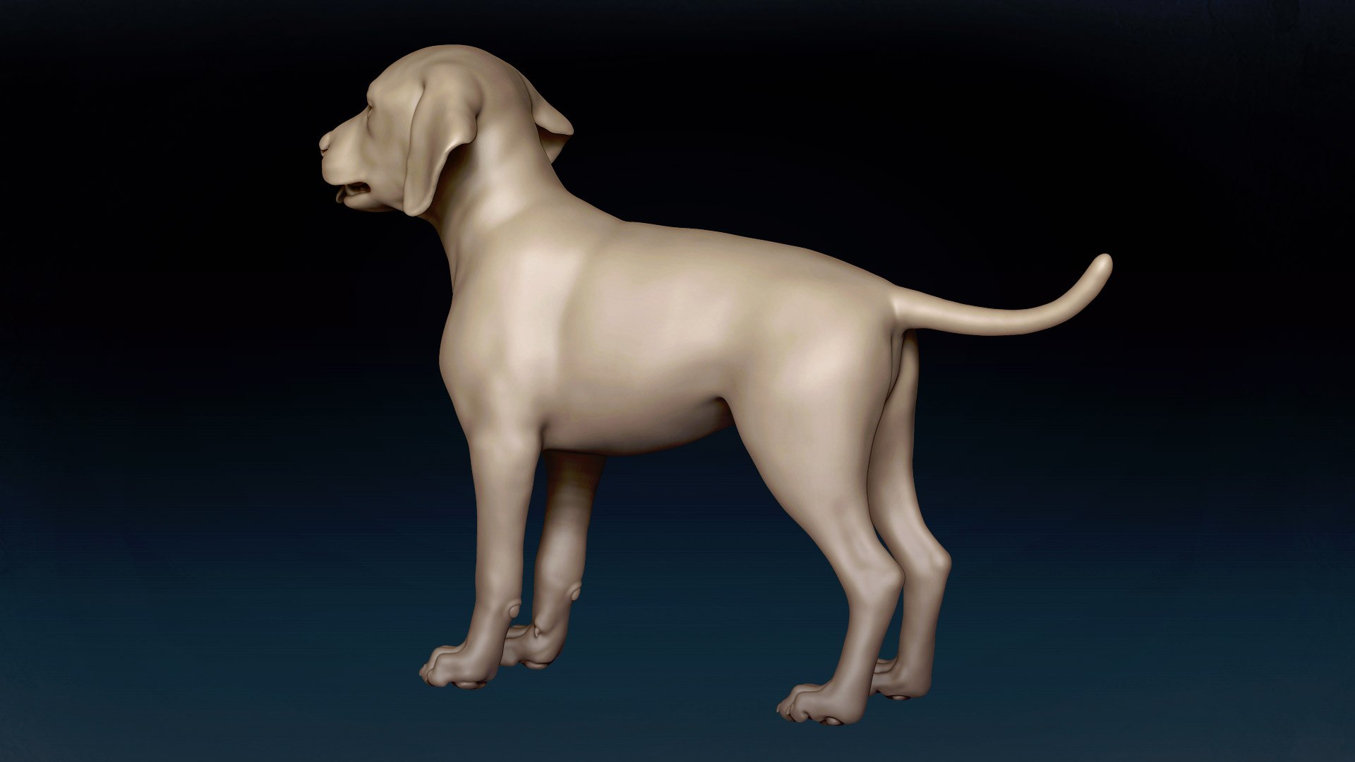 Dalmatian Puppy Base Mesh 3D Model 3D Model - TurboSquid 1863568