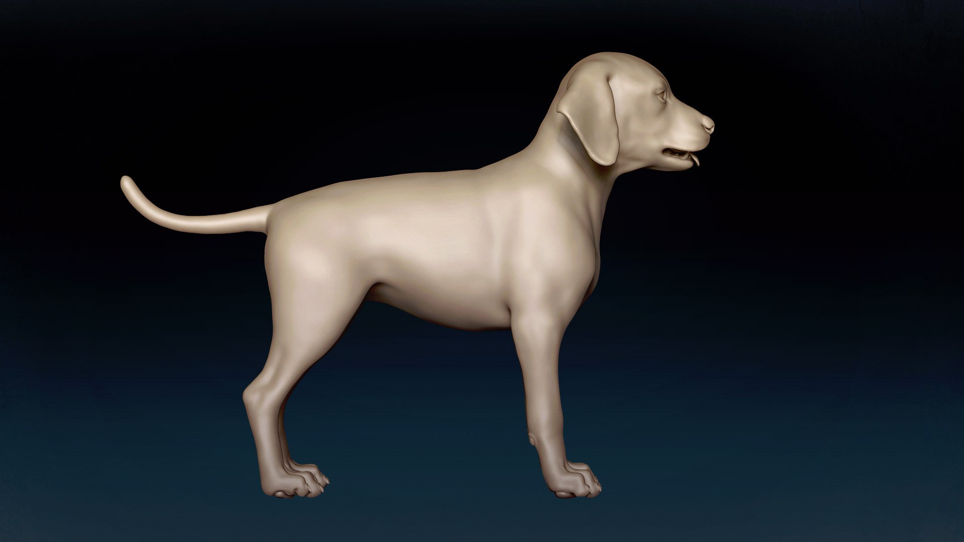 Dalmatian Puppy Base Mesh 3D Model 3D Model - TurboSquid 1863568