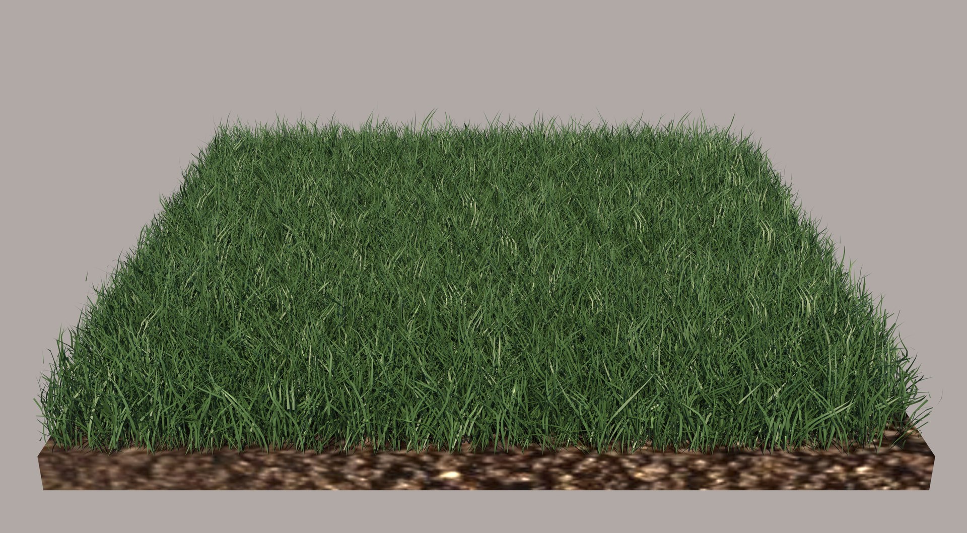 3D Grass Model - TurboSquid 1715596