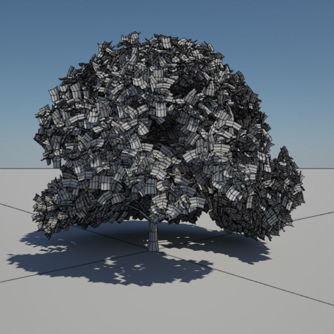 3d Model Ficus Tree