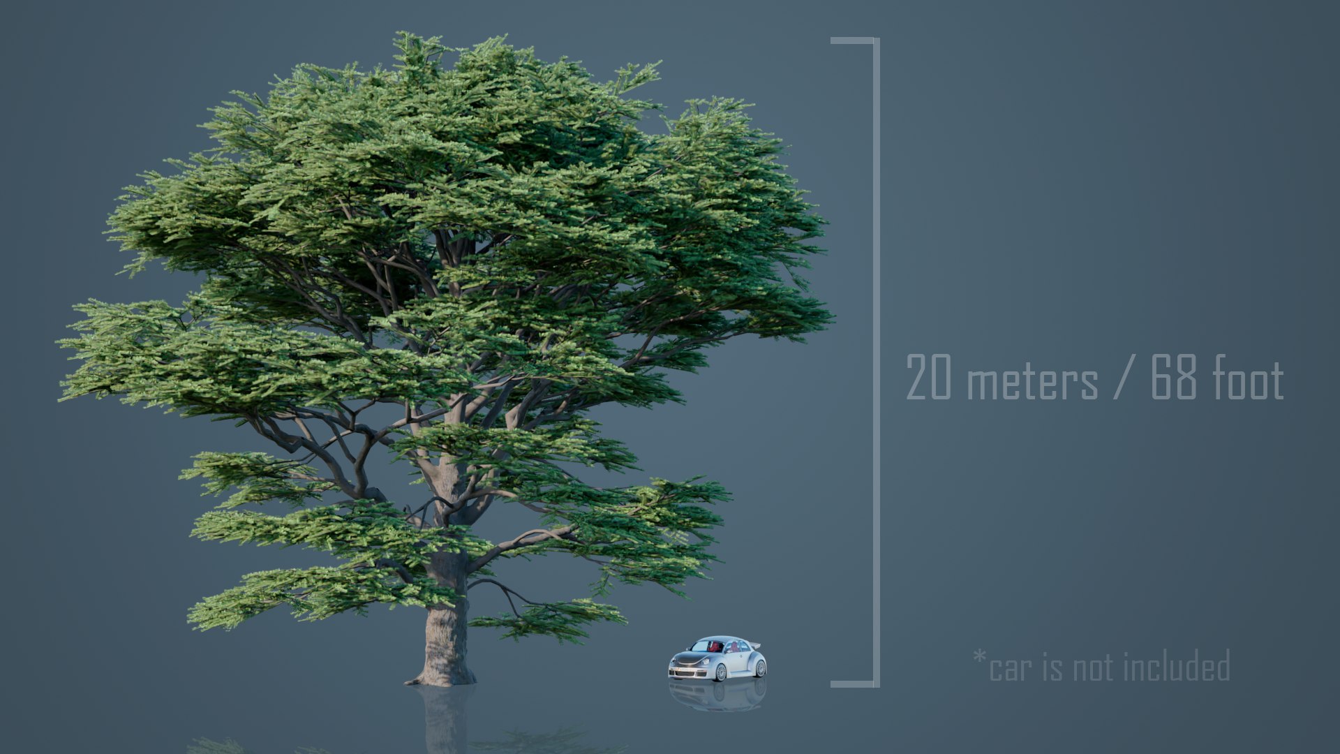 Cedrus Libani - Big Cedar Trees 3D Model - TurboSquid 1815165