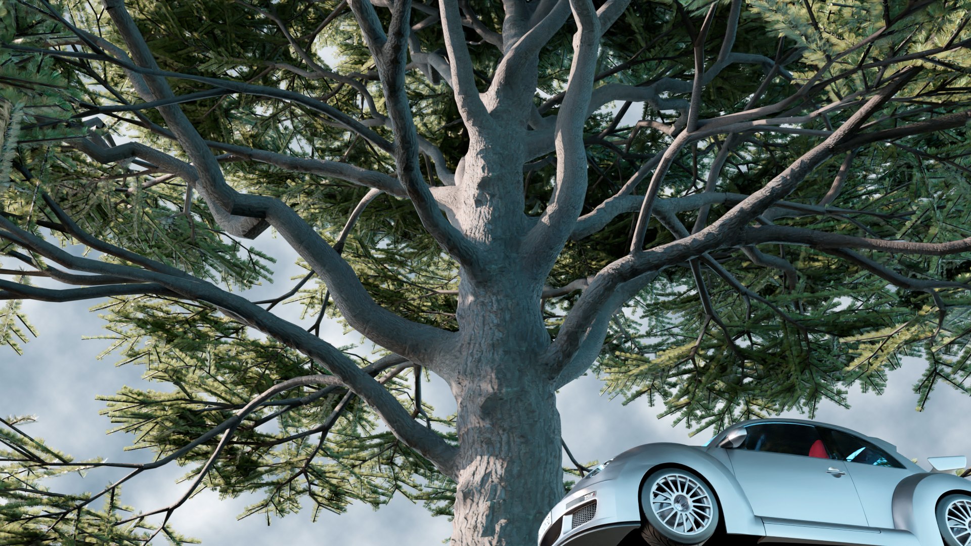 Cedrus Libani - Big Cedar Trees 3D Model - TurboSquid 1815165