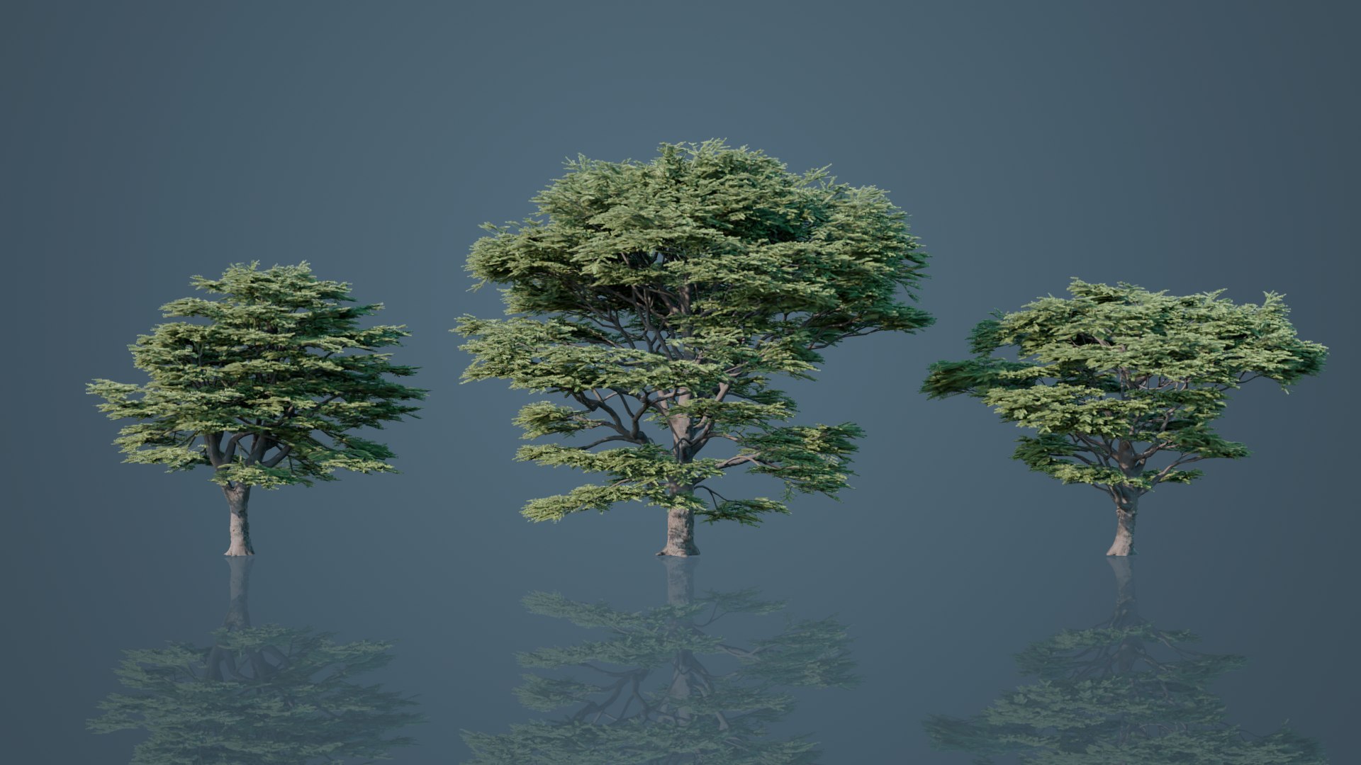 Cedrus Libani - Big Cedar Trees 3D Model - TurboSquid 1815165