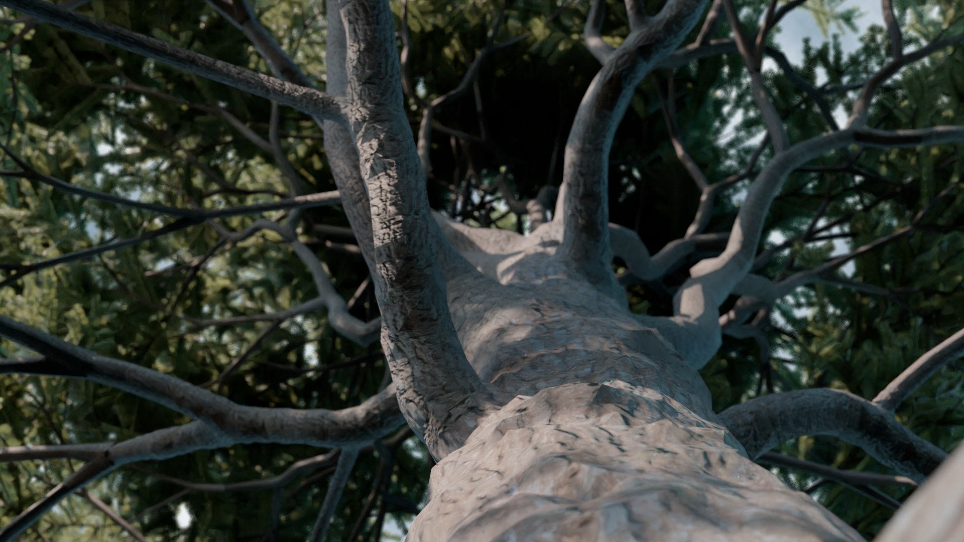 Cedrus Libani - Big Cedar Trees 3D Model - TurboSquid 1815165