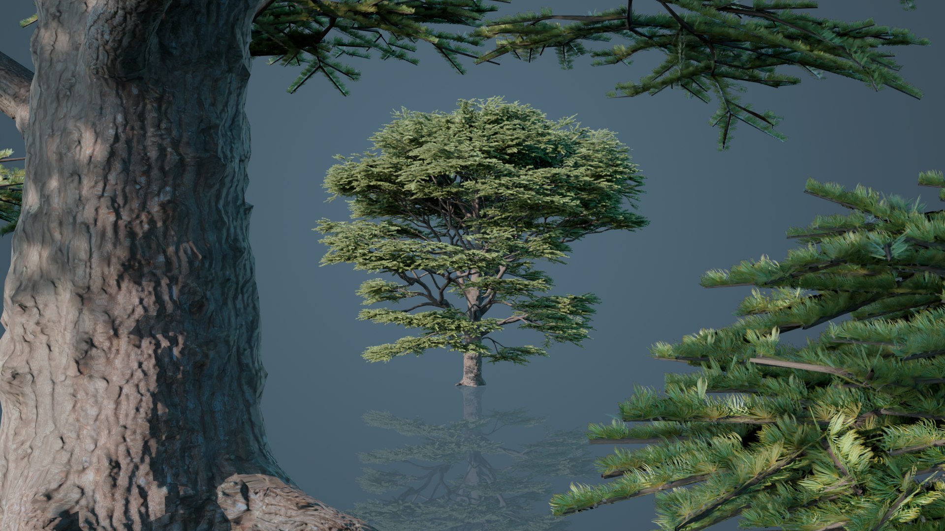 Cedrus Libani - Big Cedar Trees 3D Model - TurboSquid 1815165