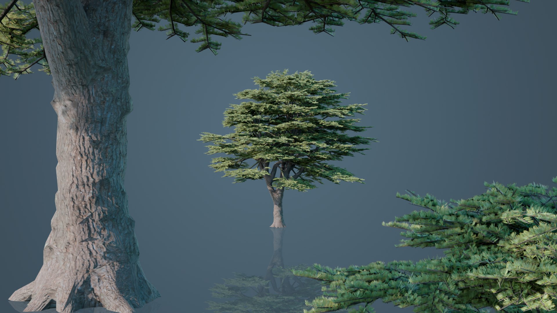 Cedrus Libani - Big Cedar Trees 3D Model - TurboSquid 1815165