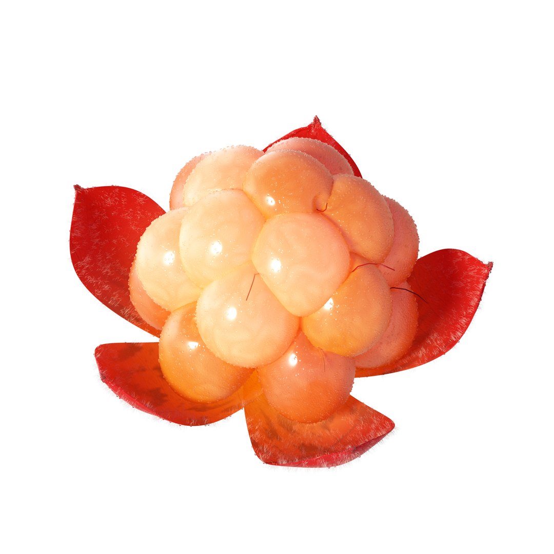 Cloudberry Fruit 3D Model - TurboSquid 2241814