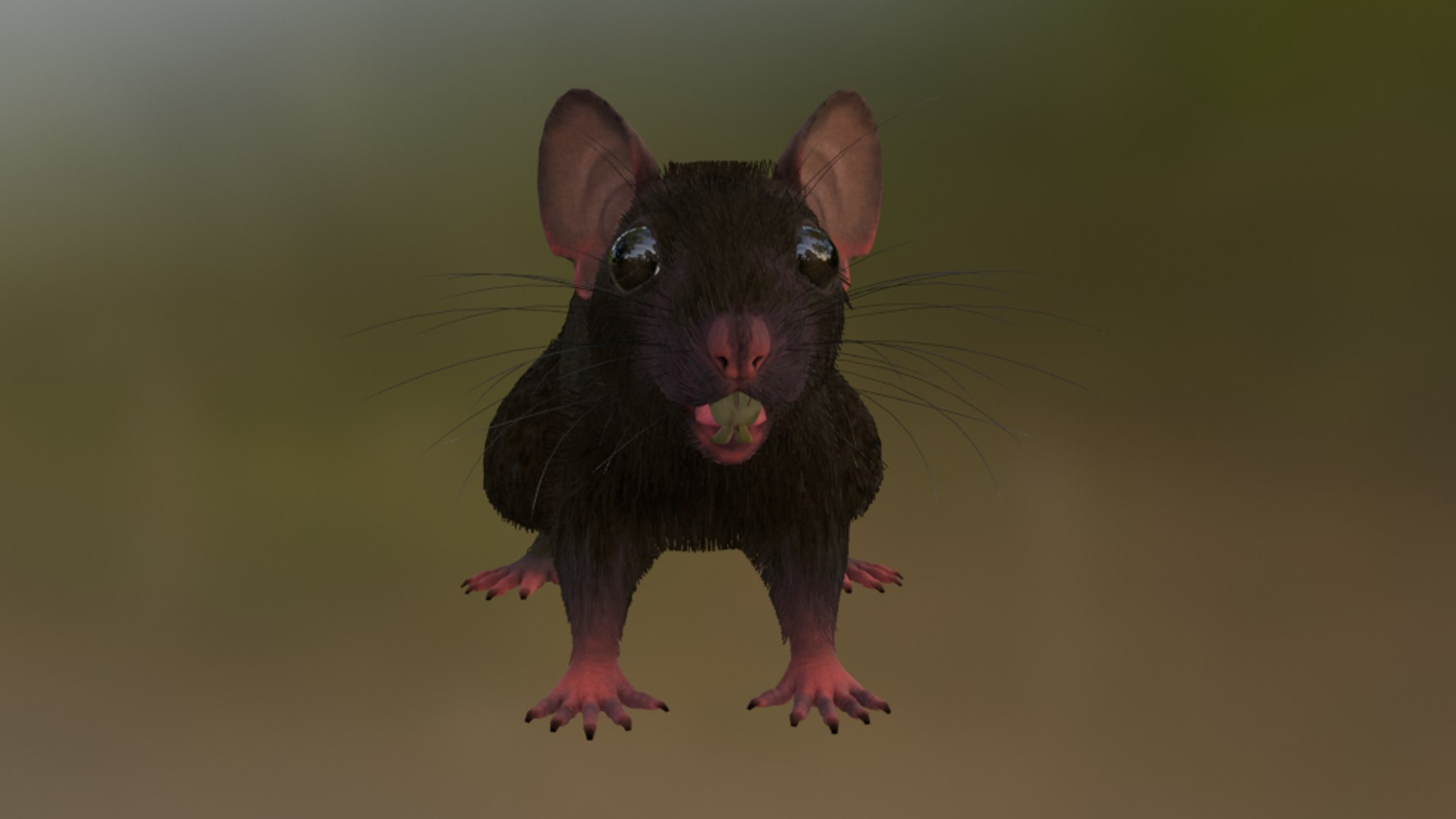 Rat 3D Model - TurboSquid 2370512