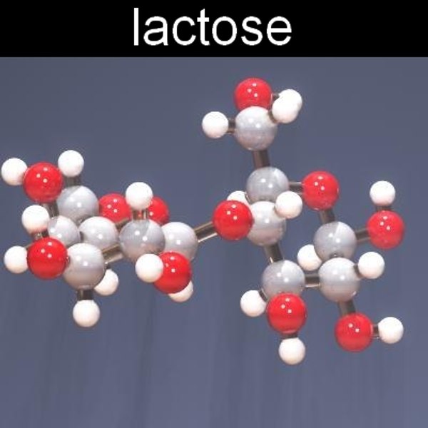 Lactose 3d Molecule