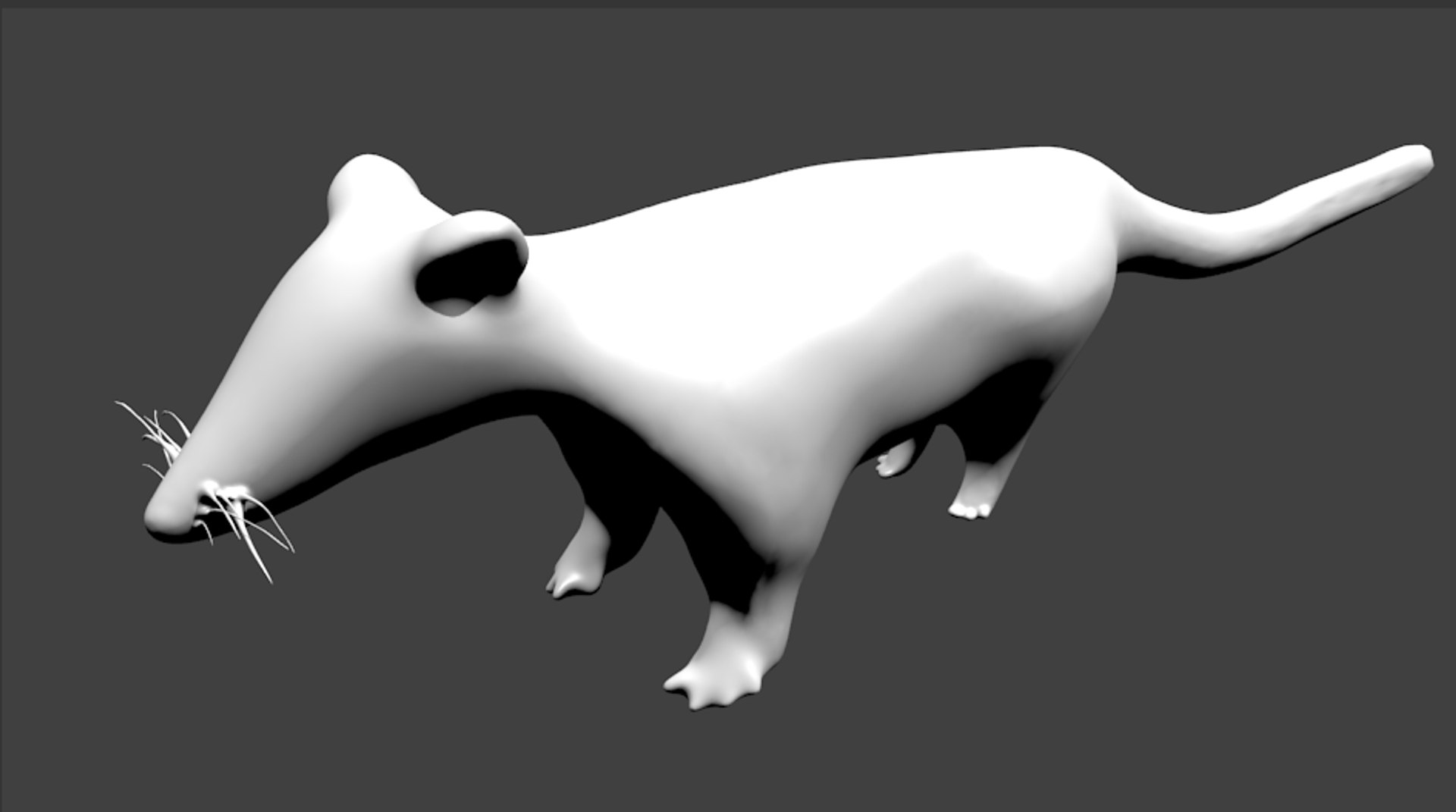 Rat 3d Model