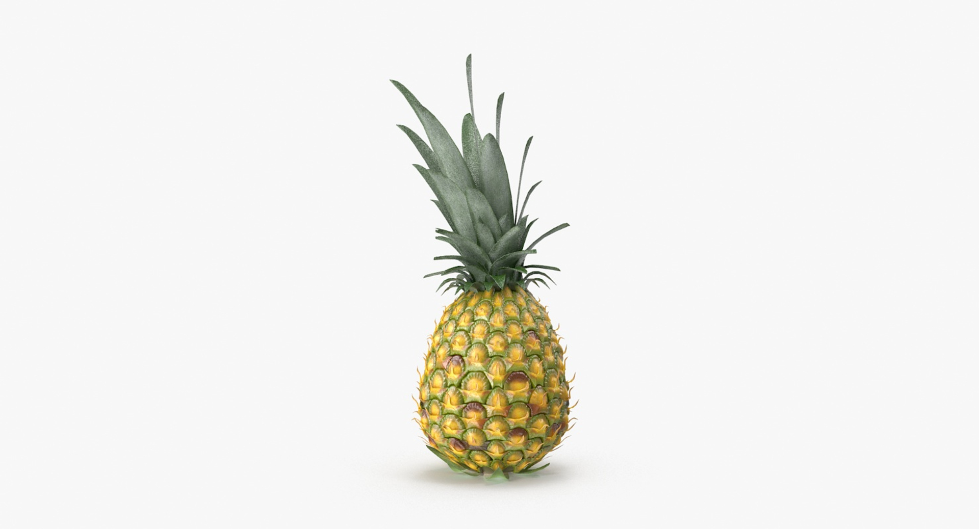 3d pineapple model