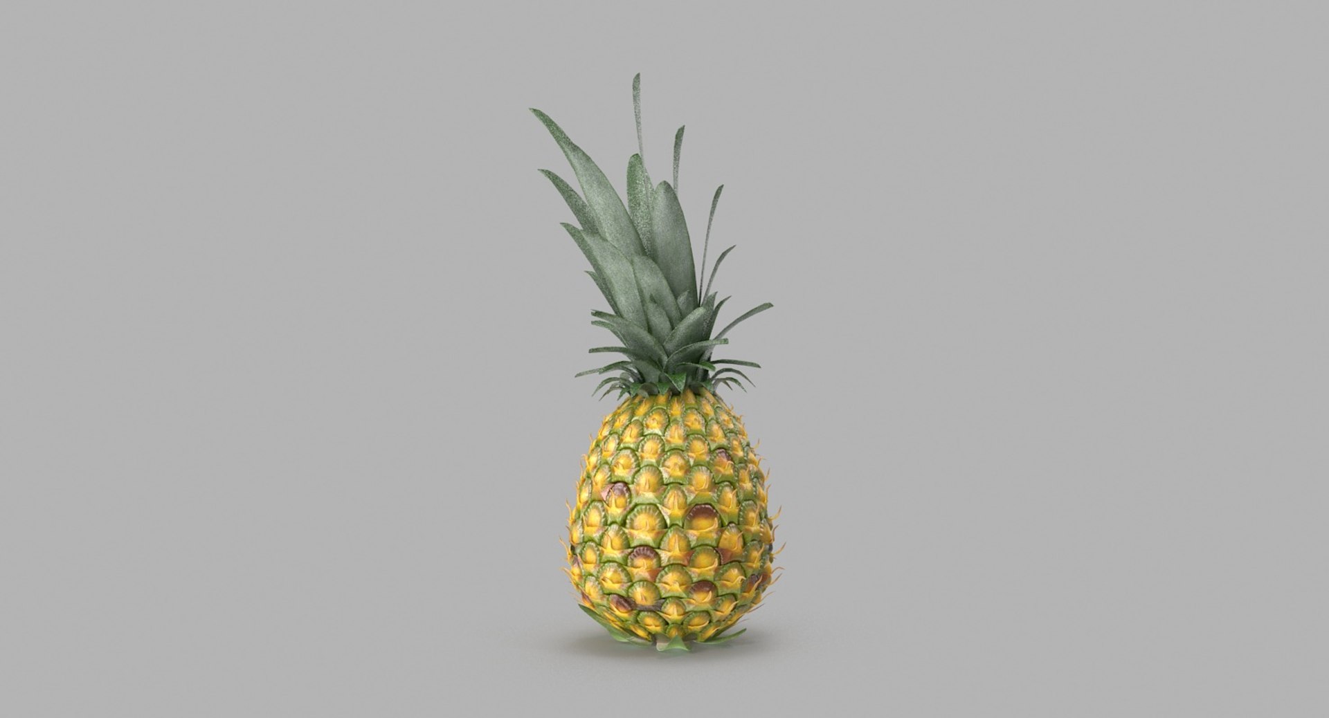 3d pineapple model