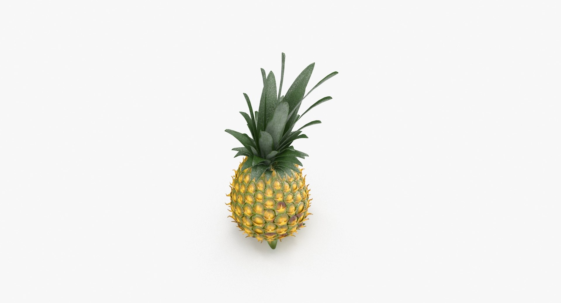3d pineapple model