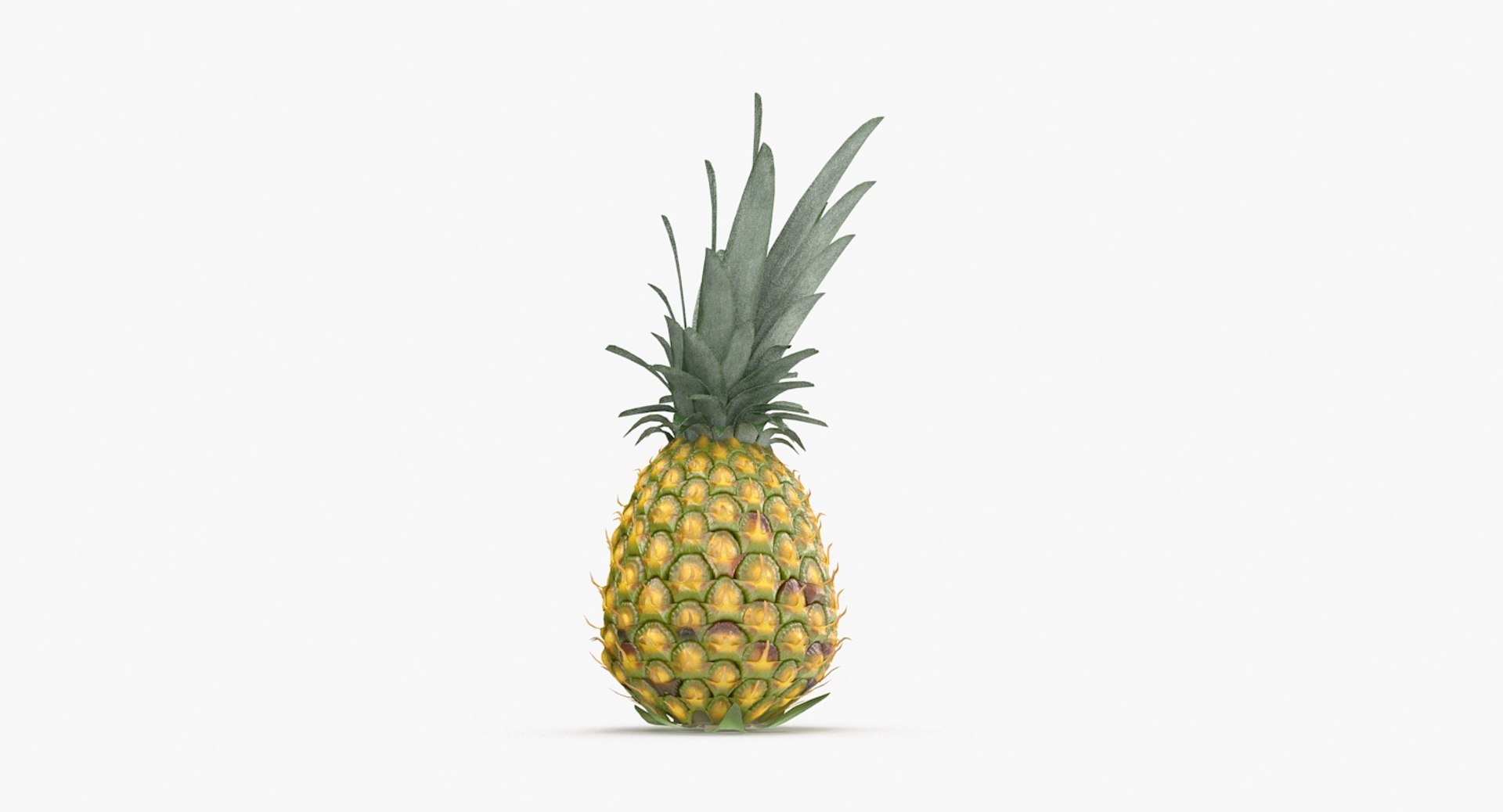 3d pineapple model