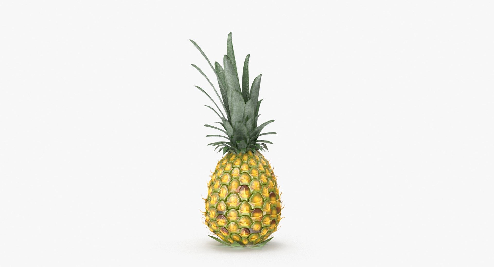 3d pineapple model