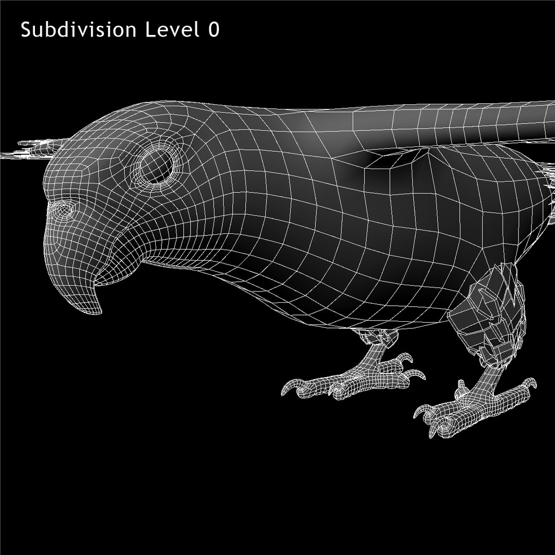 3d Model Amazona Viridigenalis Red-crowned Amazon