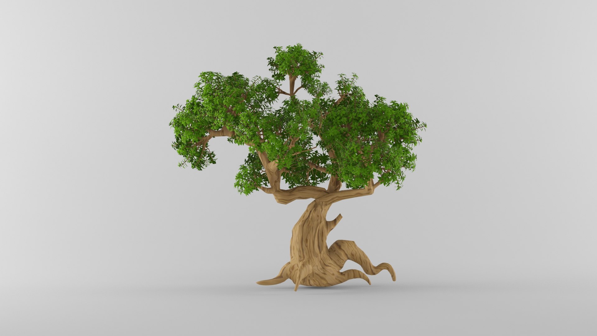 Cartoon Tree Model - TurboSquid 1725707
