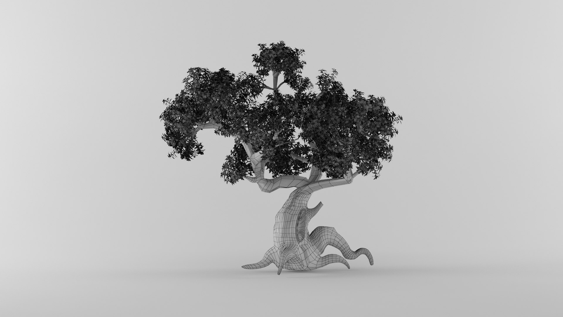 Cartoon Tree Model - TurboSquid 1725707