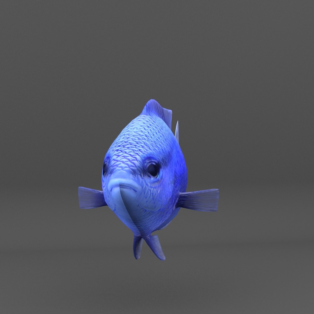 Fish Animation Max