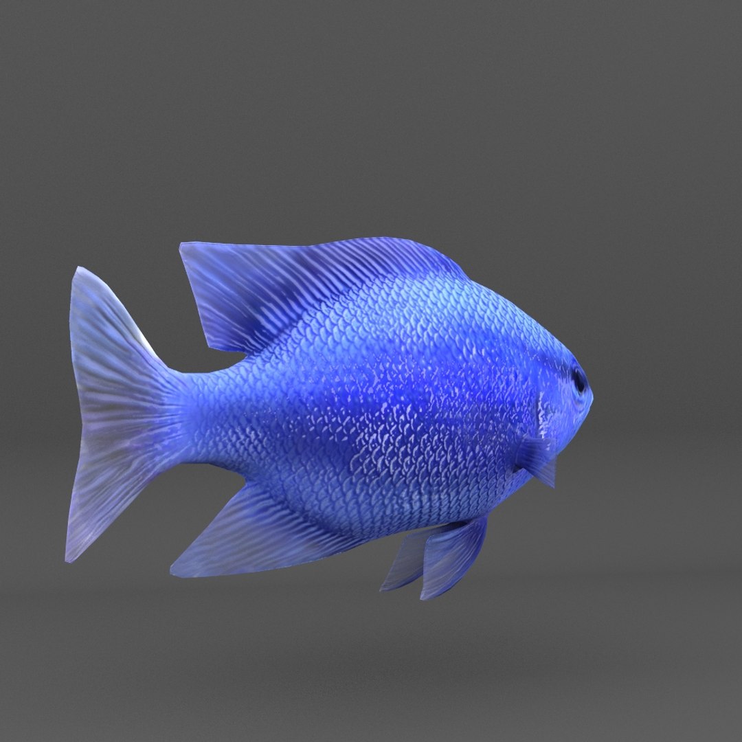 Fish Animation Max