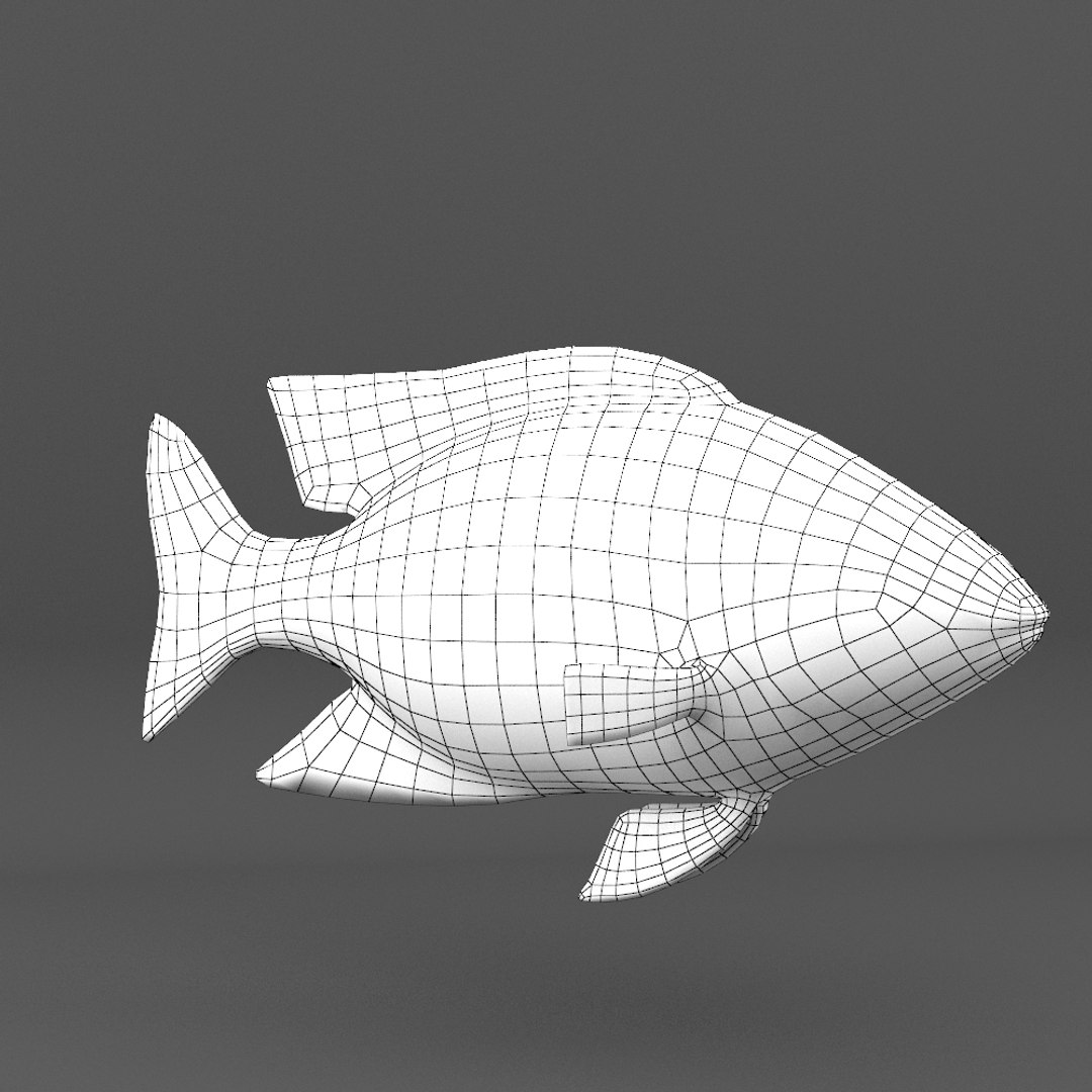 Fish Animation Max