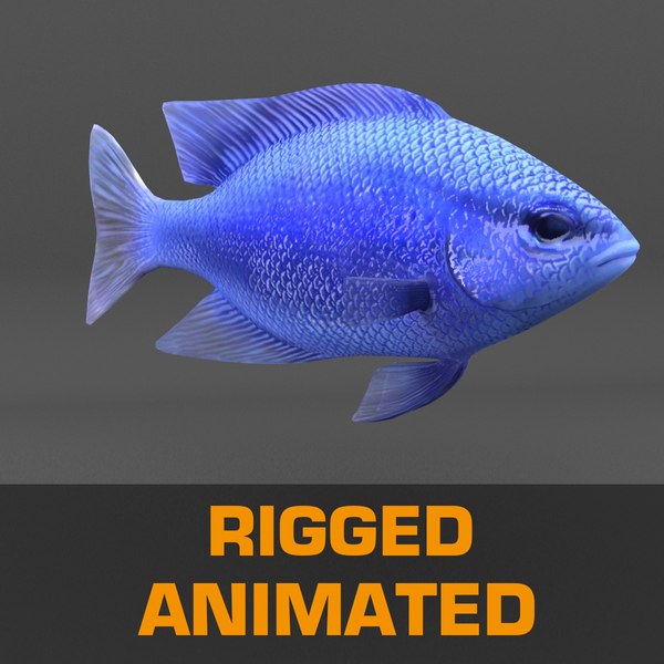fish animation 3d model