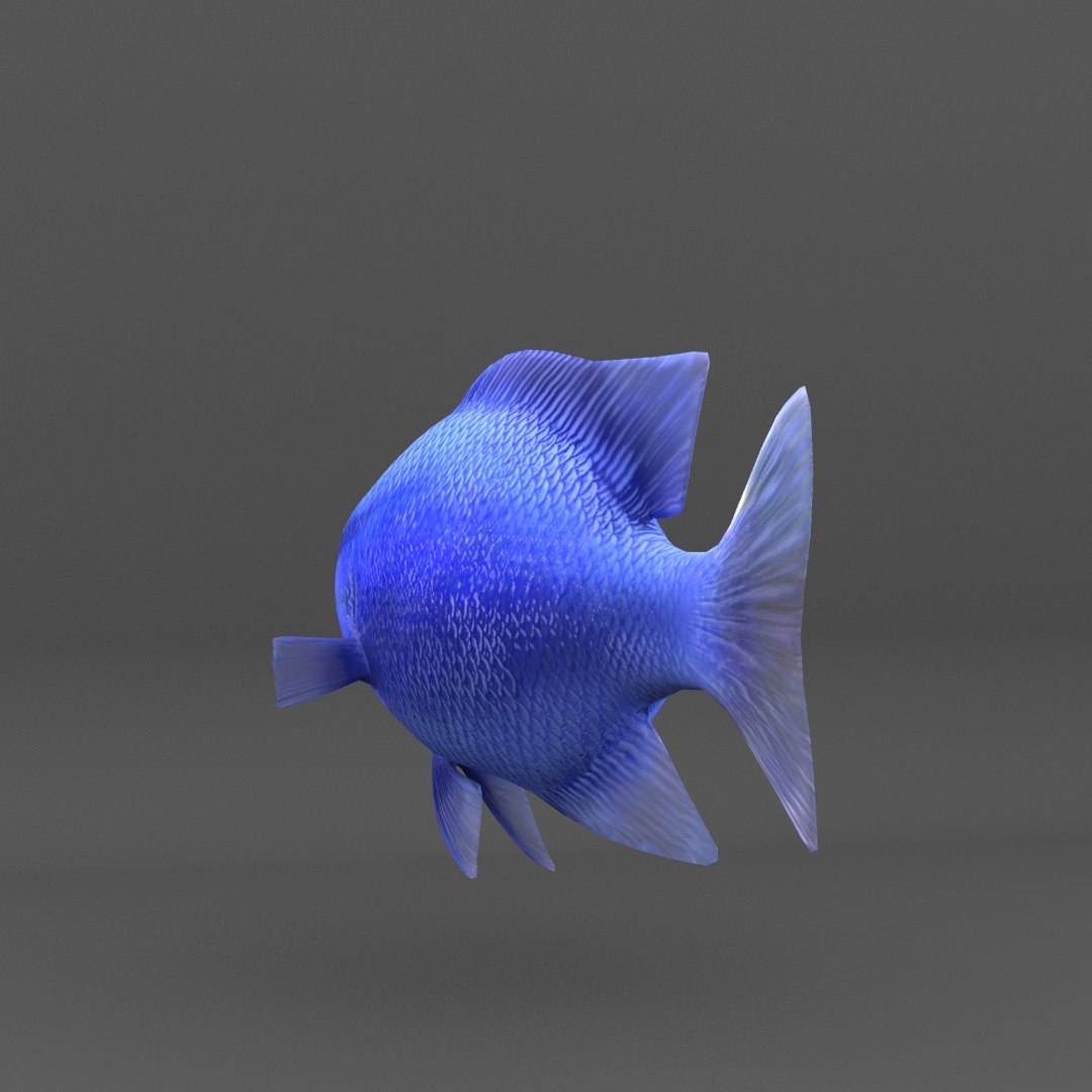 Fish Animation Max