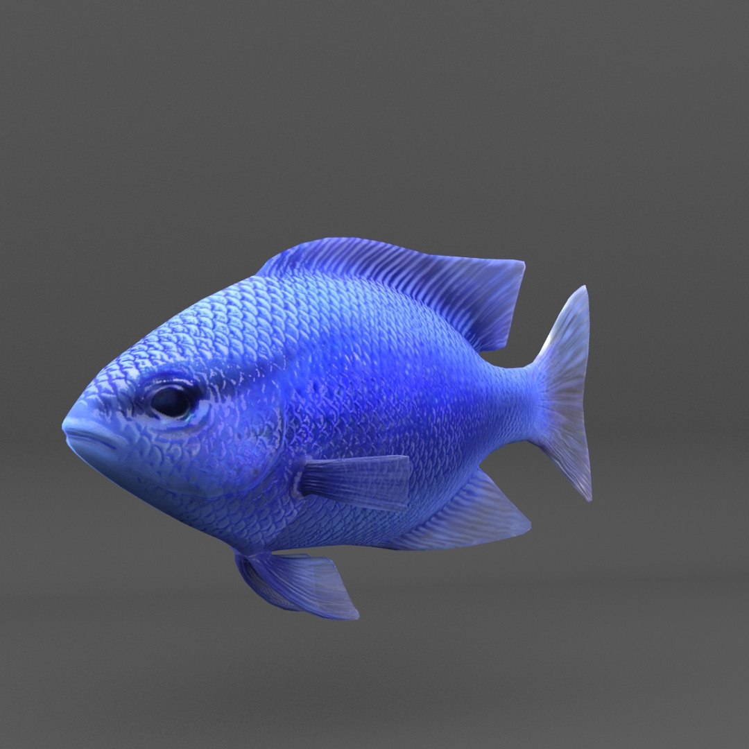 Fish Animation Max