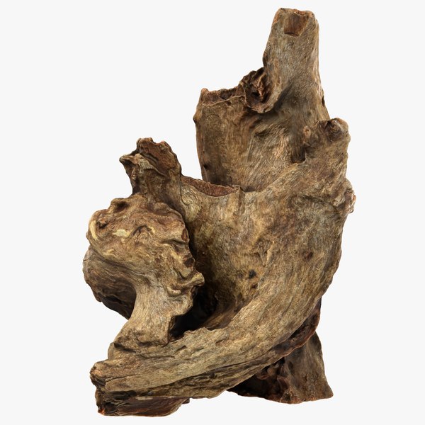 3D модель Часть ствола дерева 15 - TurboSquid 2510094