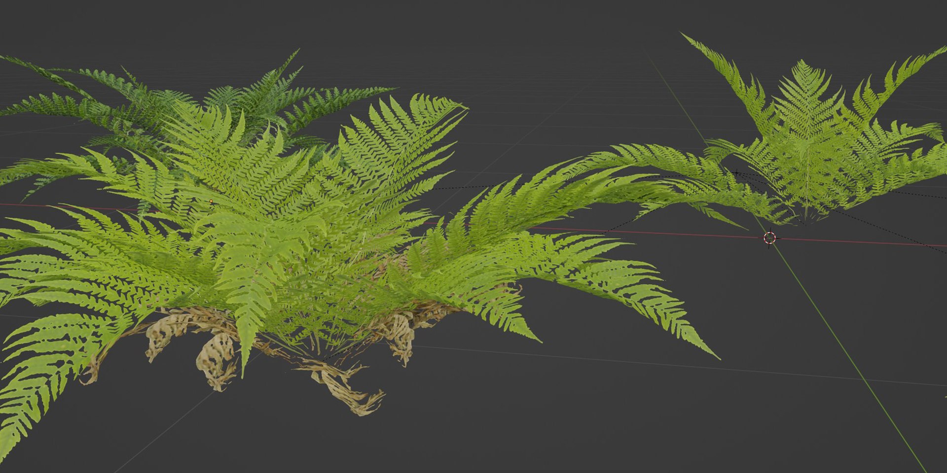 Ferns Collection Vol 104-Blender Model - TurboSquid 2137843