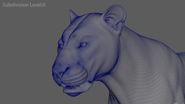 3D Tiger RIGGED collection - TurboSquid 1843772