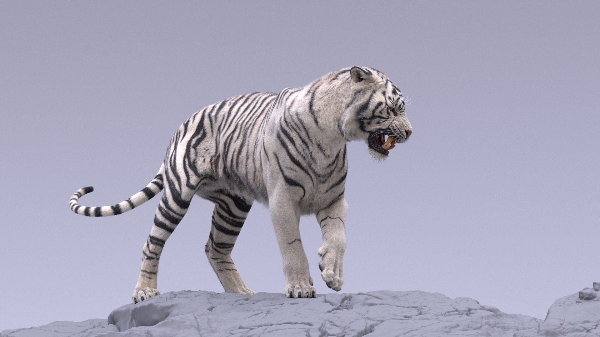 3D Tiger RIGGED Collection - TurboSquid 1843772
