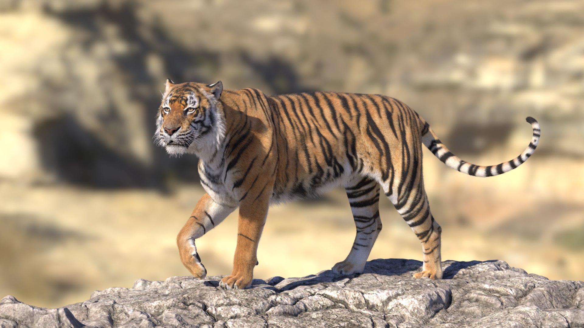 3D Tiger RIGGED Collection - TurboSquid 1843772