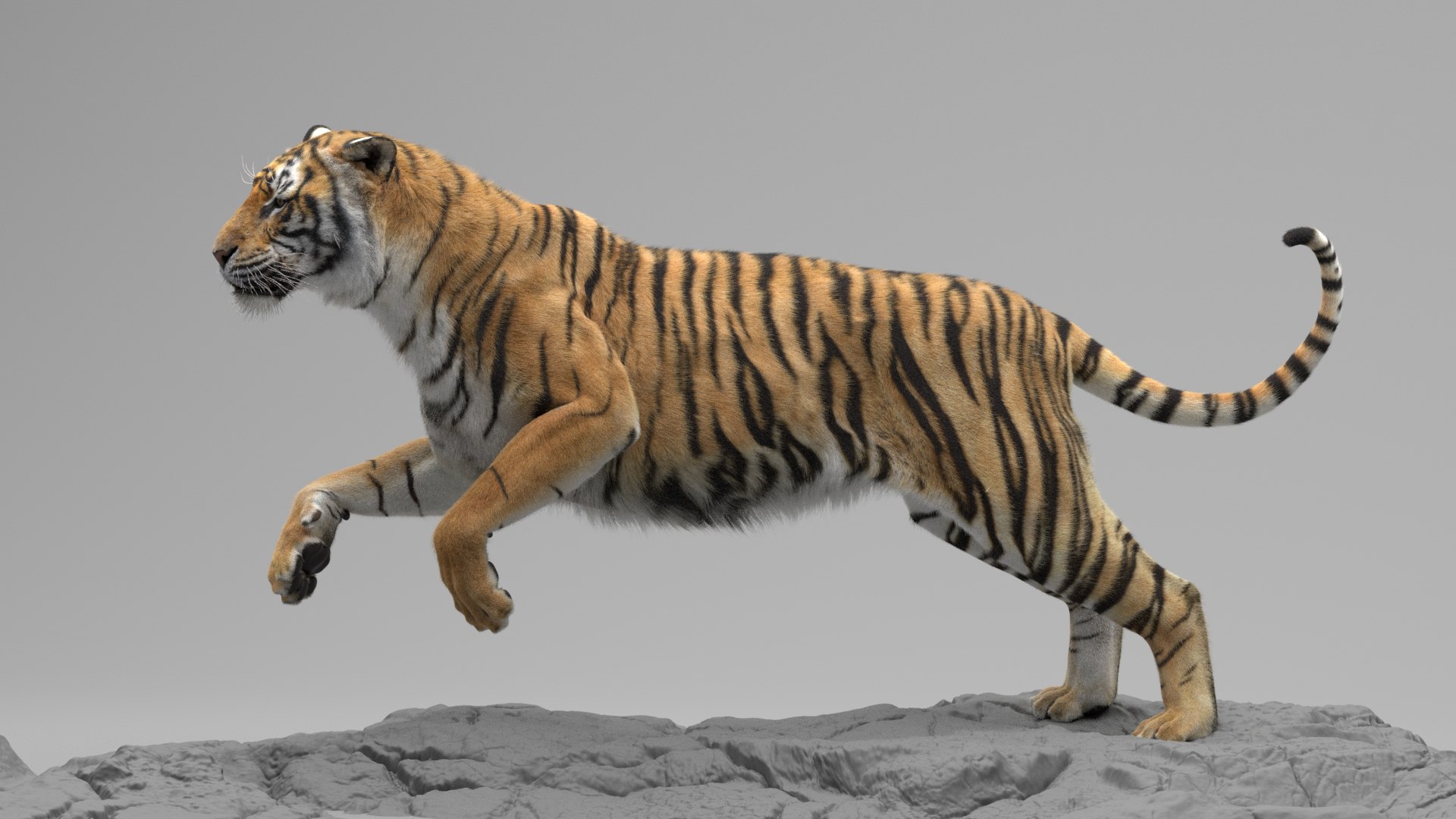 3D Tiger RIGGED Collection - TurboSquid 1843772