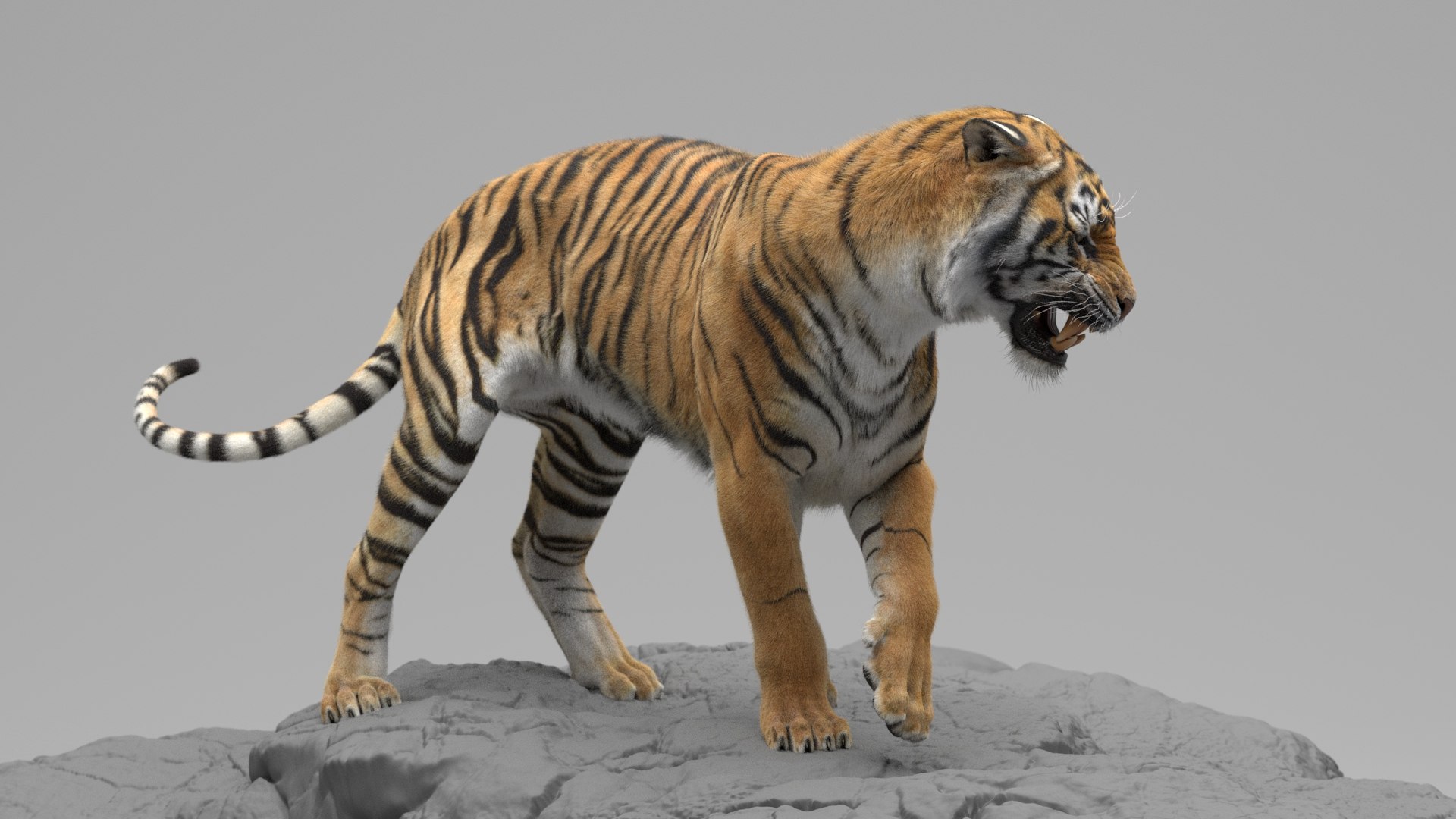 3D Tiger RIGGED Collection - TurboSquid 1843772