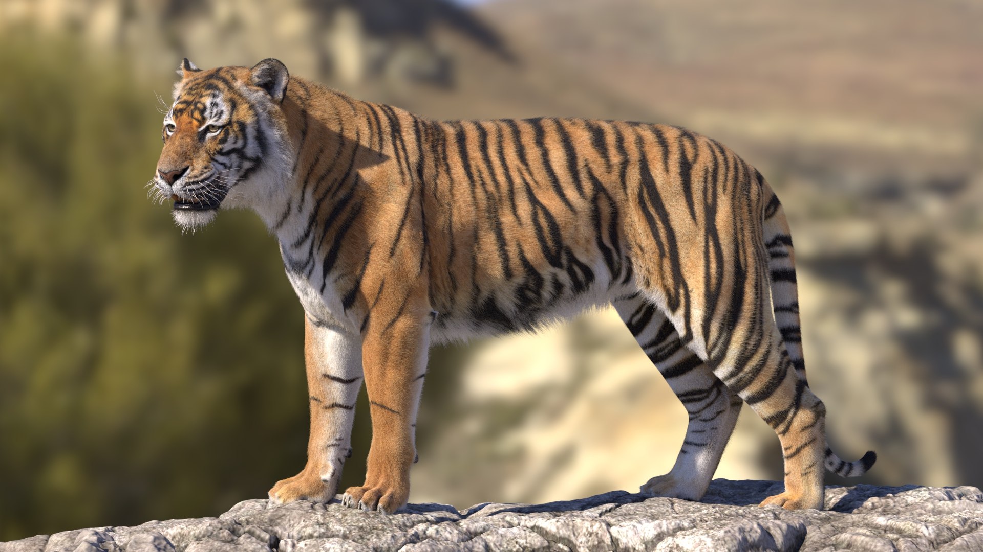 3D Tiger RIGGED Collection - TurboSquid 1843772