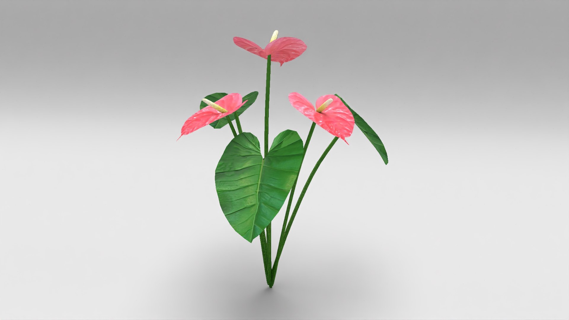 3D Plant Flower - TurboSquid 1618312