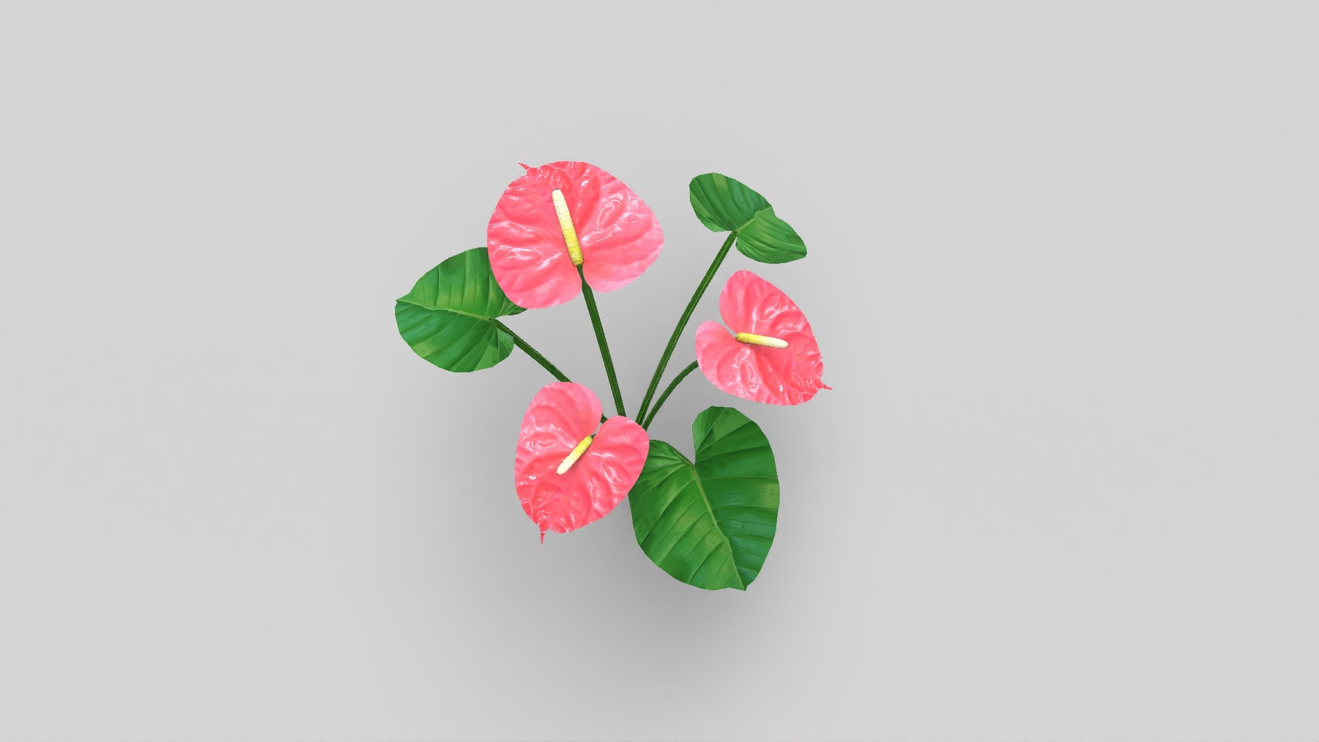 3D Plant Flower - TurboSquid 1618312